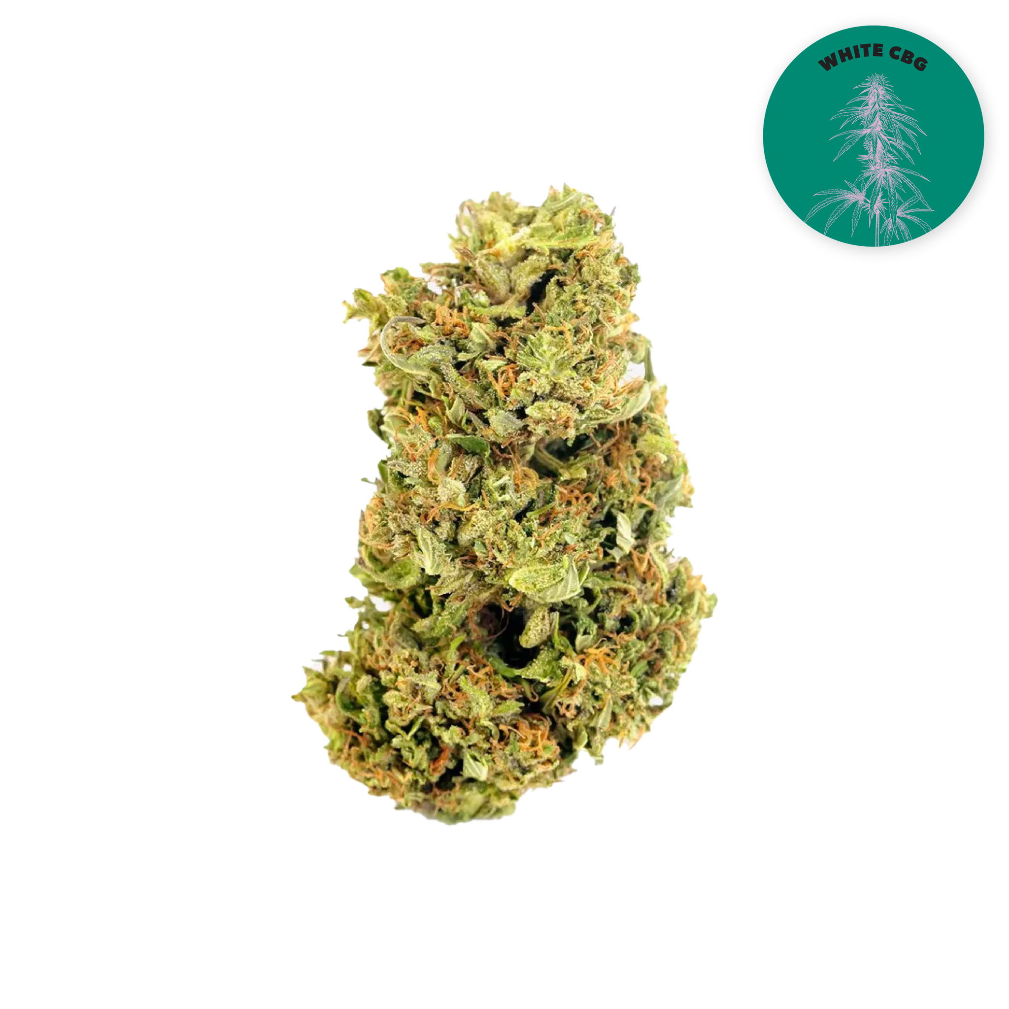 White CBG Organic Hemp Flower